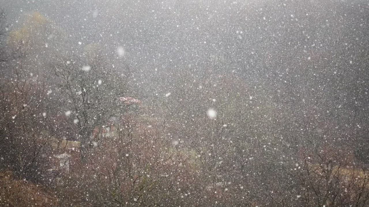 Slow snow falling in the hills - Free Stock Video