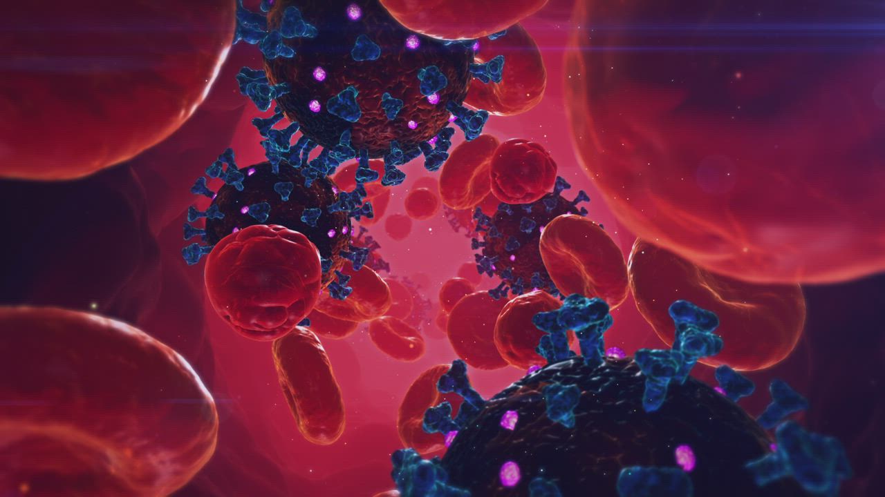 Animation of viruses infecting the human body - Free Stock Video