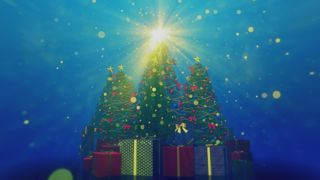 Star shining on the top of Christmas trees - Free Stock Video