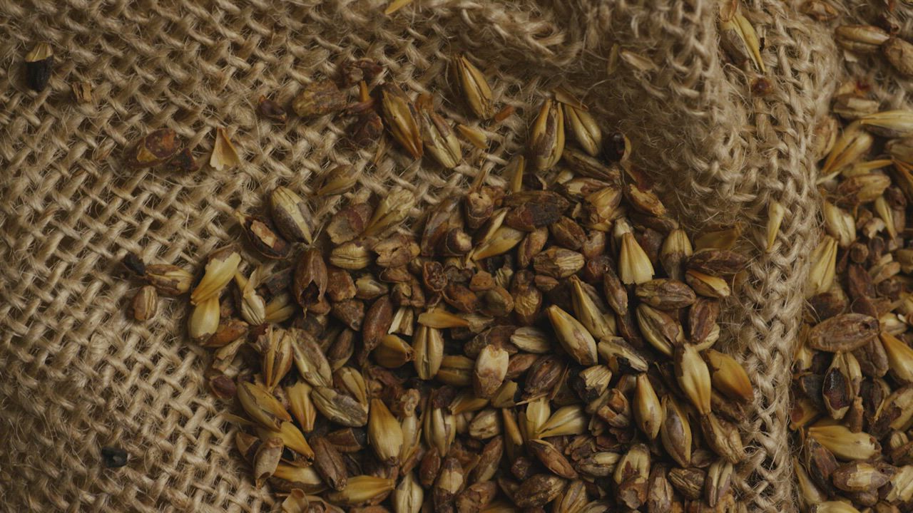 Beer brewing ingredients on a natural fabric - Free Stock Video