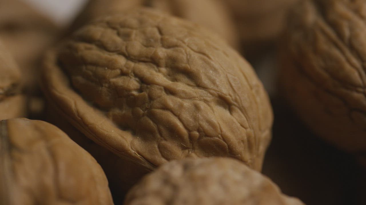 Close-up shot of walnuts in the shell - Free Stock Video