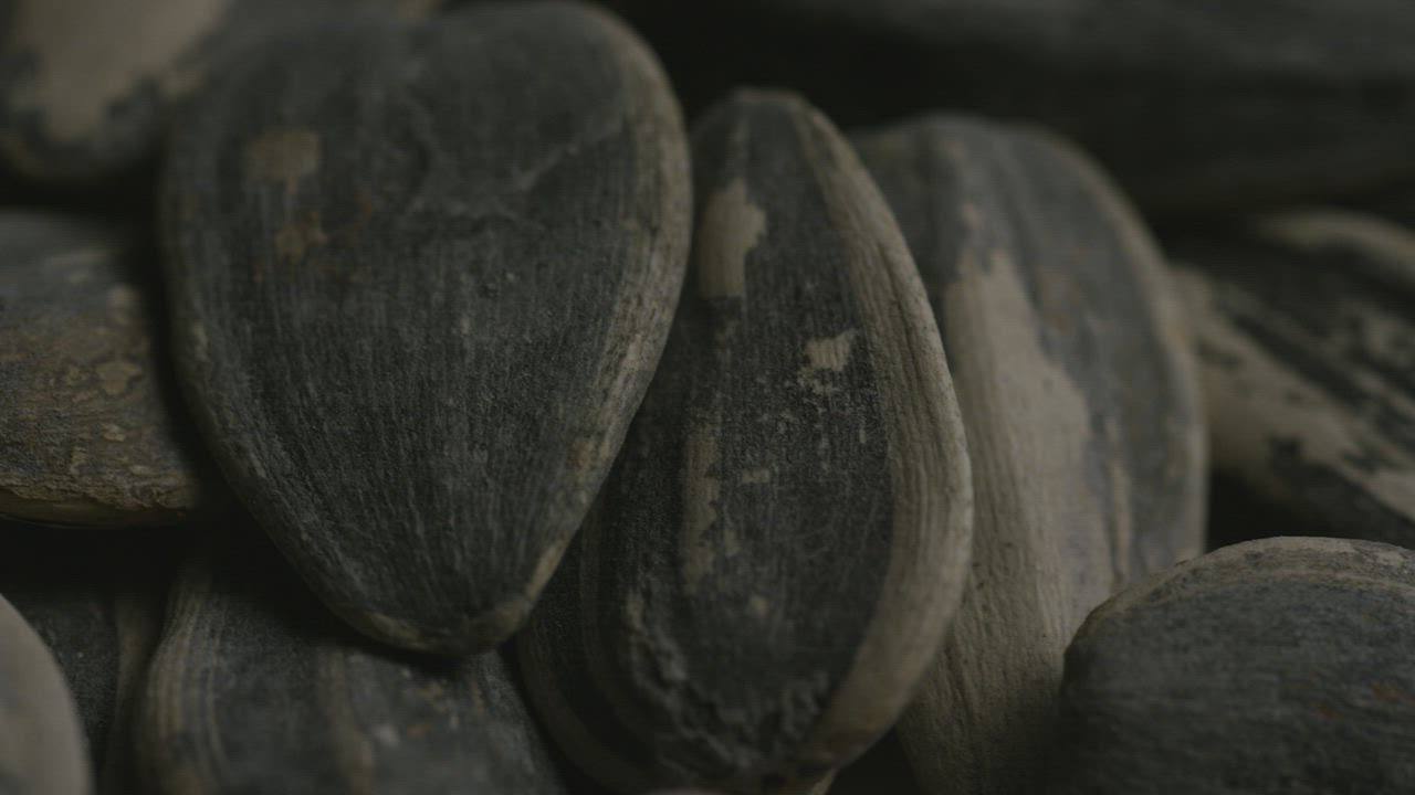 Sunflower seeds close-up shot - Free Stock Video