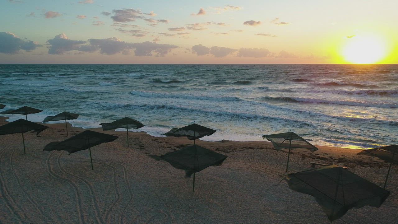 Sunset on a beach with wind and umbrellas - Free Stock Video