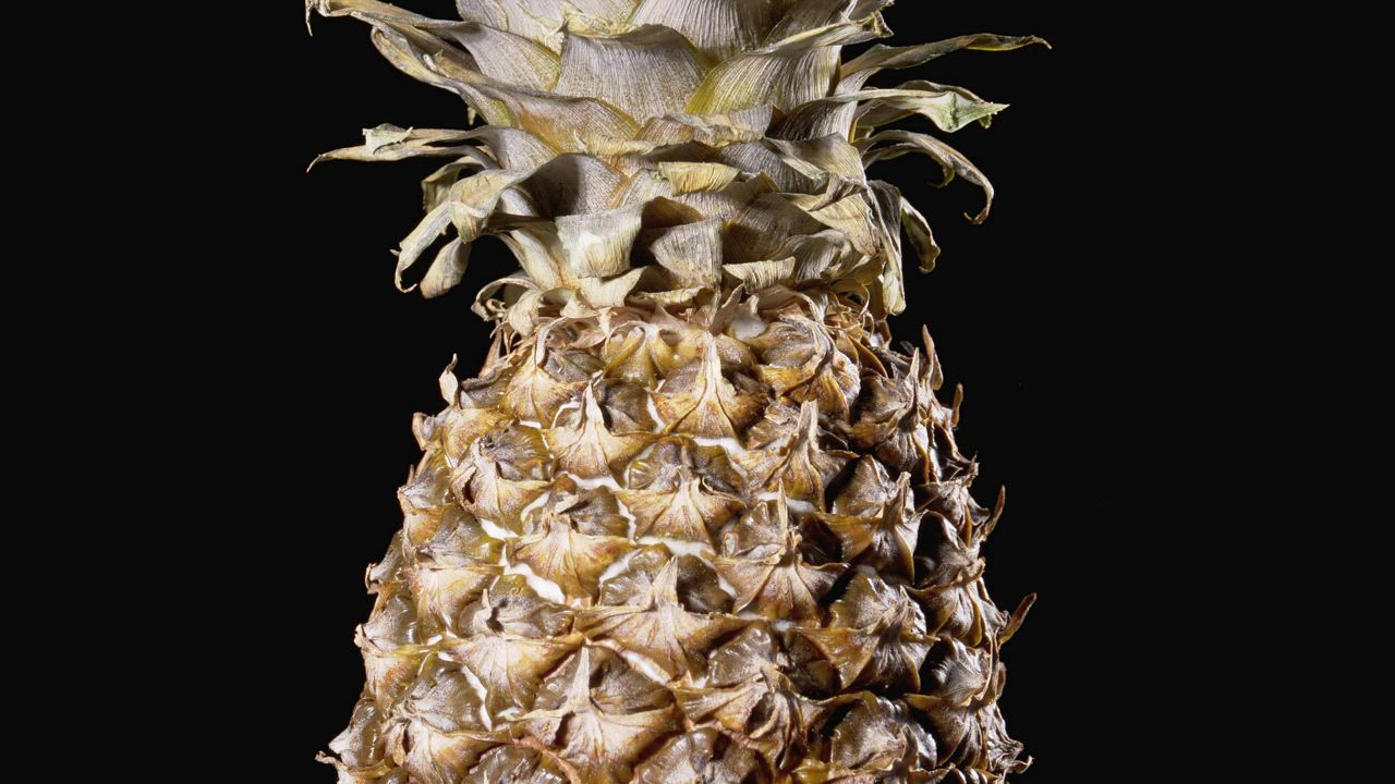 Pineapple fruit rotating - Free Stock Video