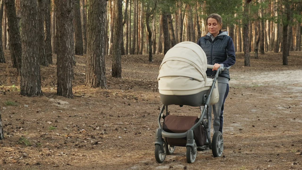 Mother lulling her baby in stroller in a park - Free Stock Video
