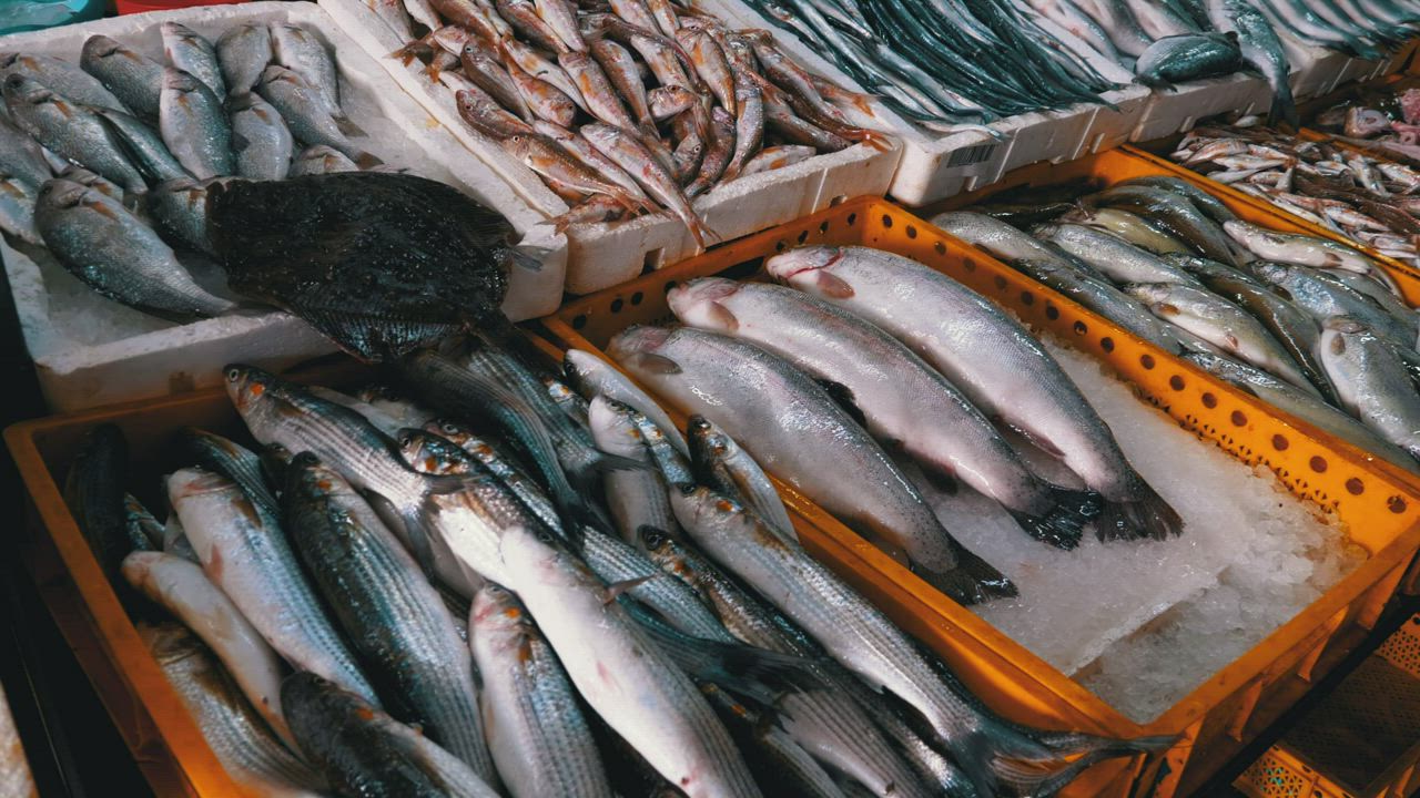 Fresh fish on ice trays - Free Stock Video