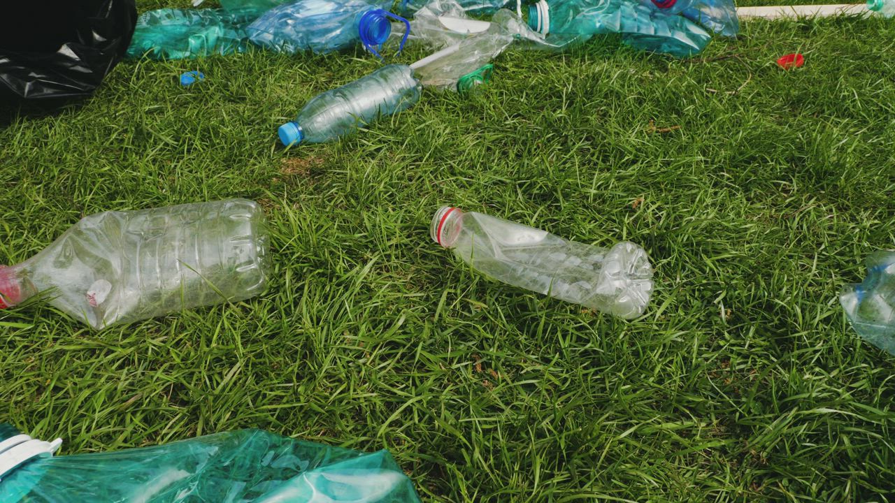 Cleaning the park grass from plastic waste - Free Stock Video