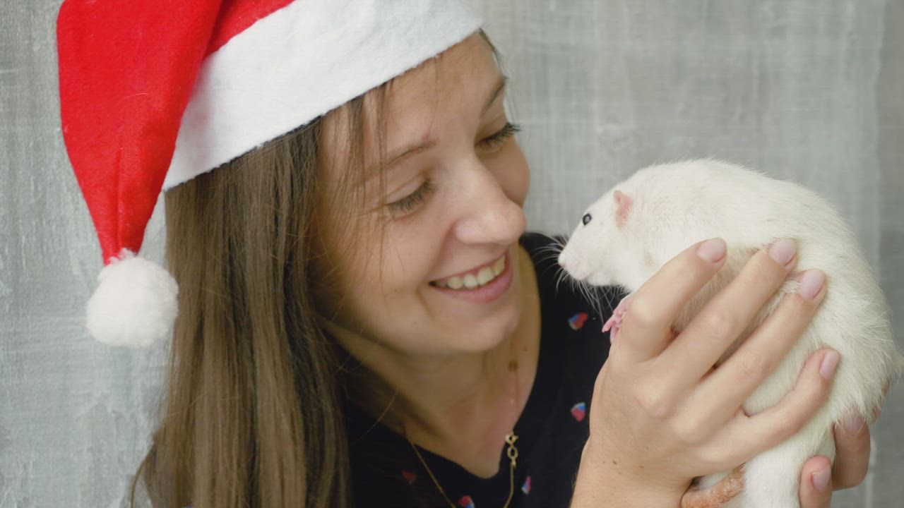 Young woman holding a white rat - Free Stock Video