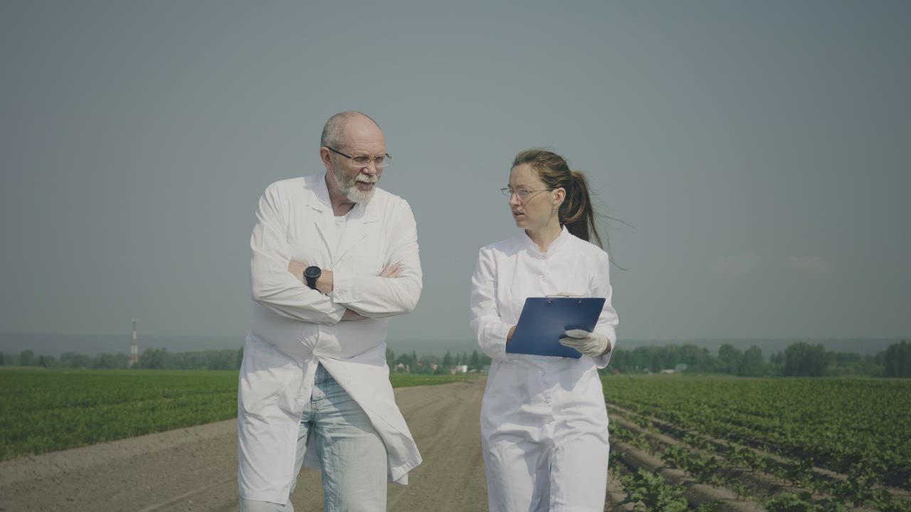 Scientists taking notes on an agricultural field - Free Stock Video