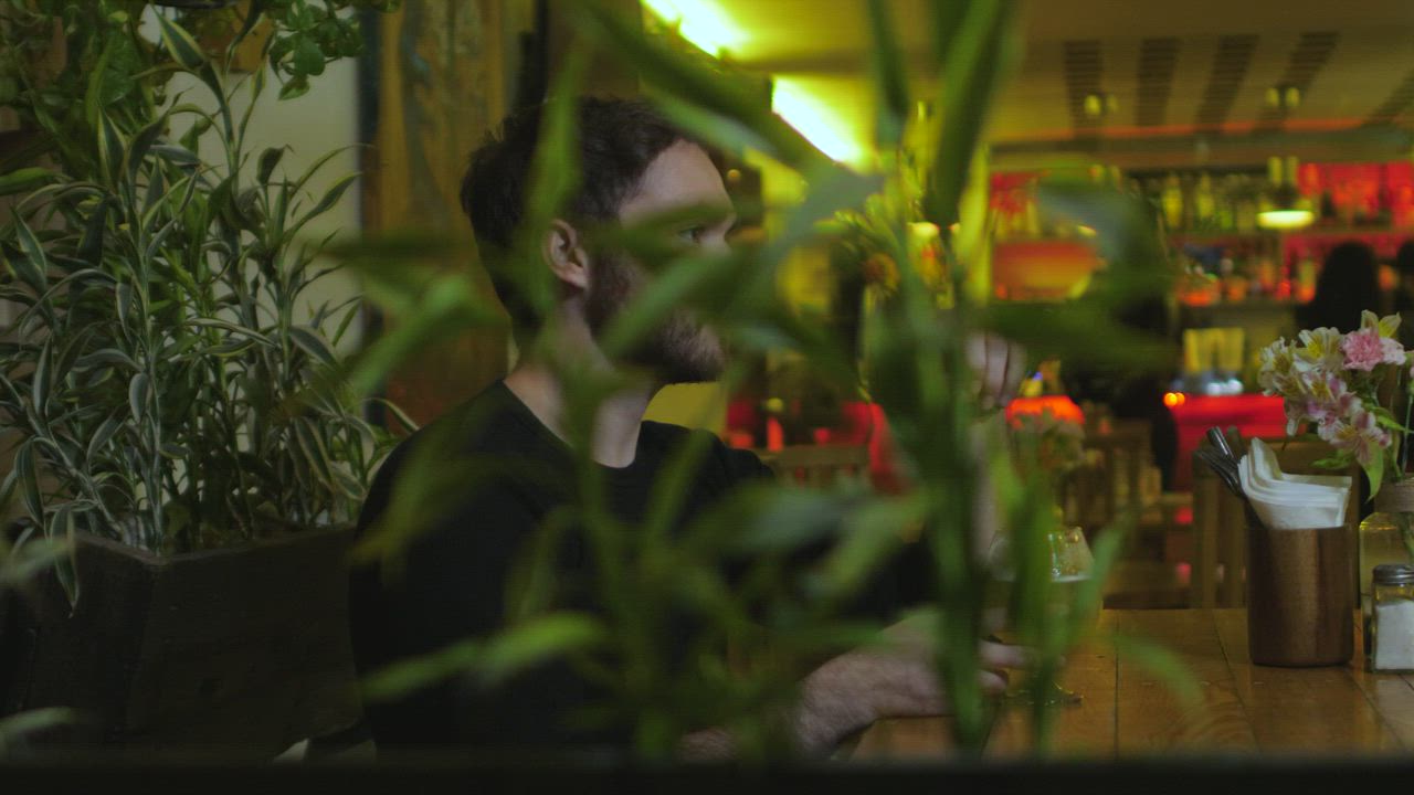 Man drinking beer - Free Stock Video