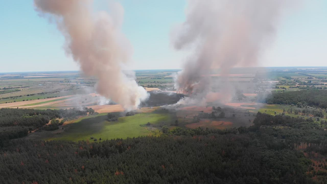 Columns of smoke in a forest, aerial shot - Free Stock Video