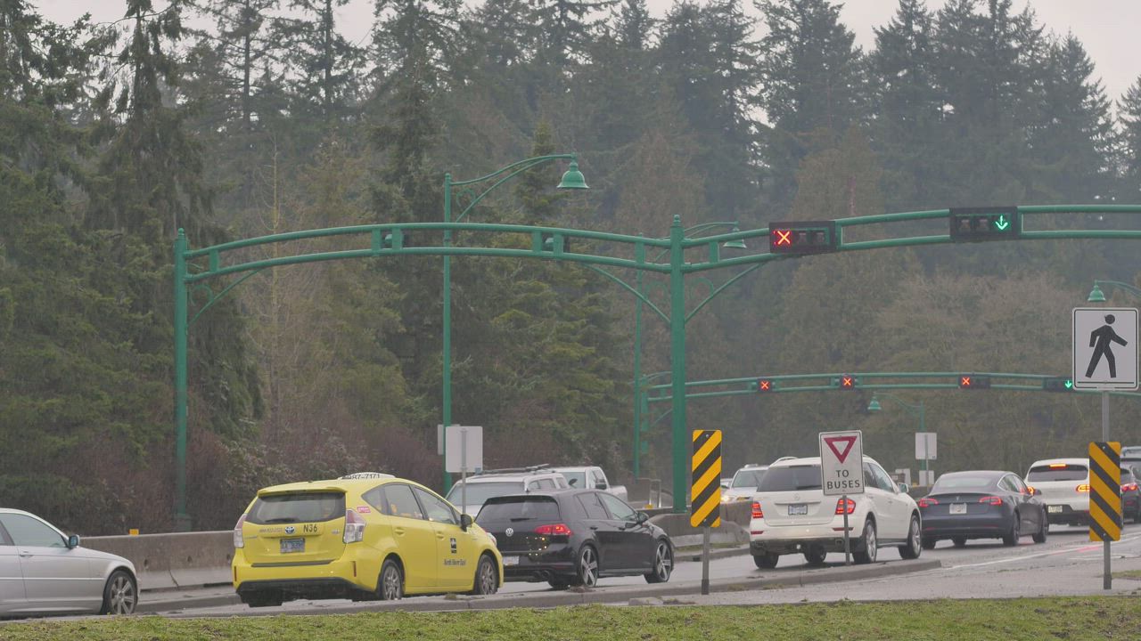 Traffic jam on a highway in a pine forest - Free Stock Video