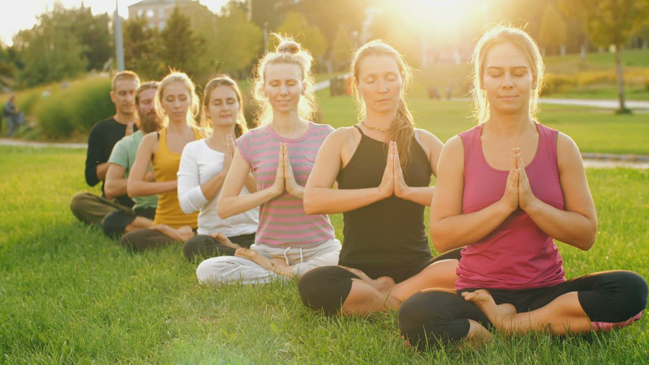 People meditating in the park - Free Stock Video
