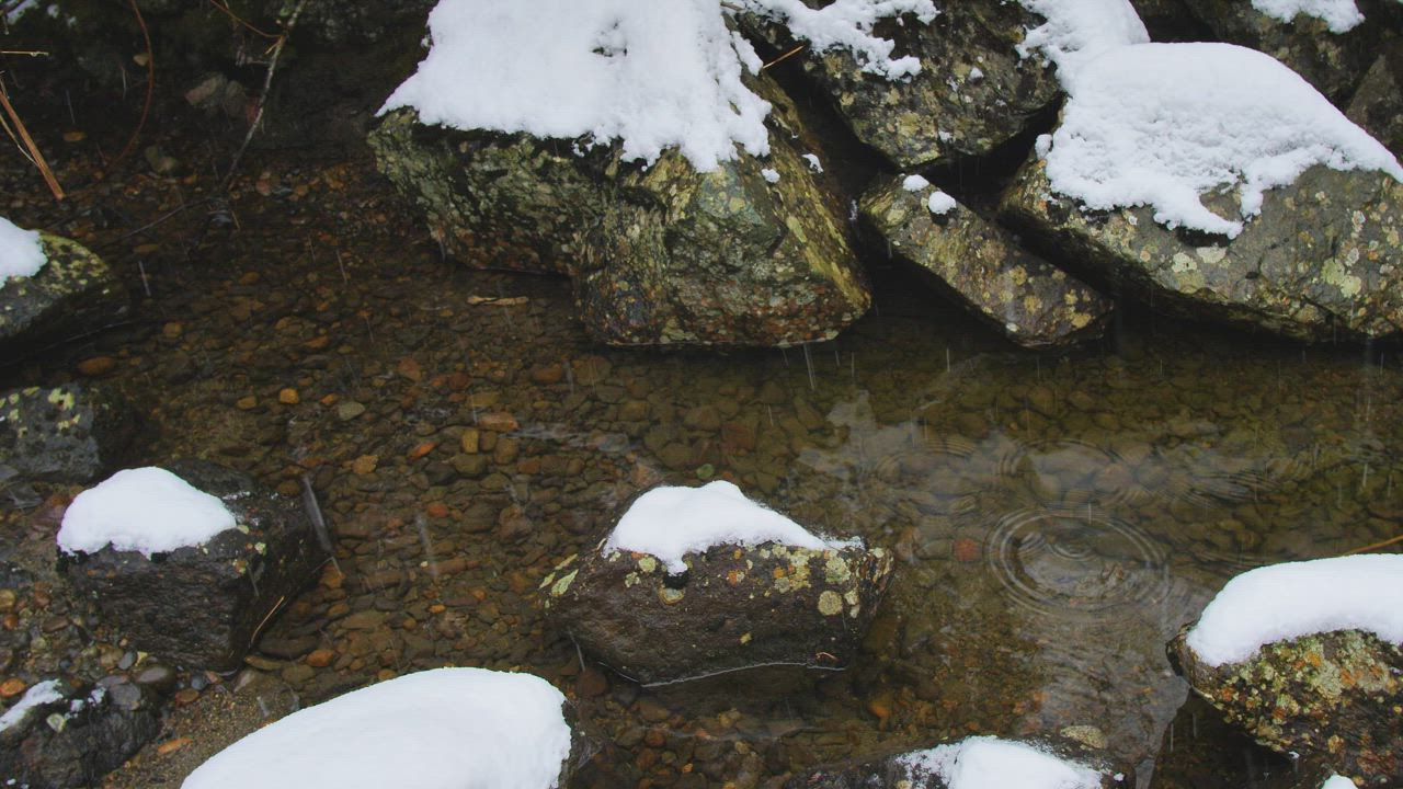 Rocks in a river in a snowy forest - Free Stock Video