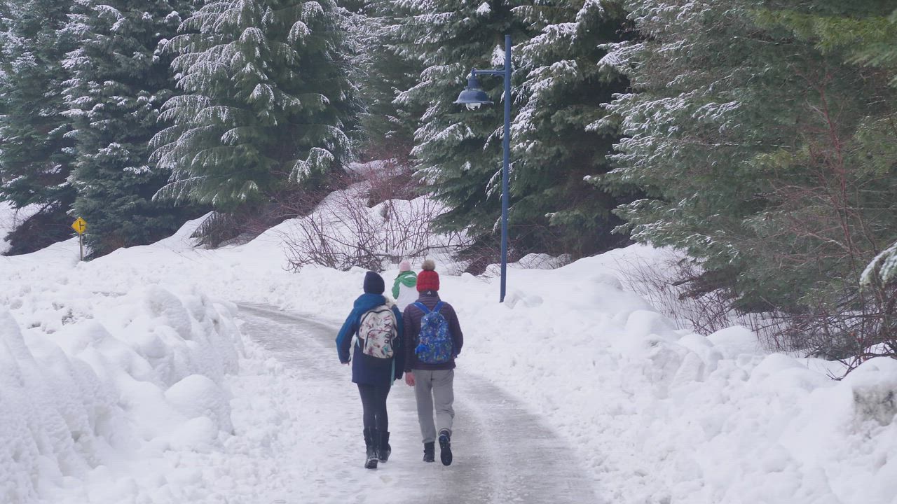 Walking on a snowy path in Canada - Free Stock Video
