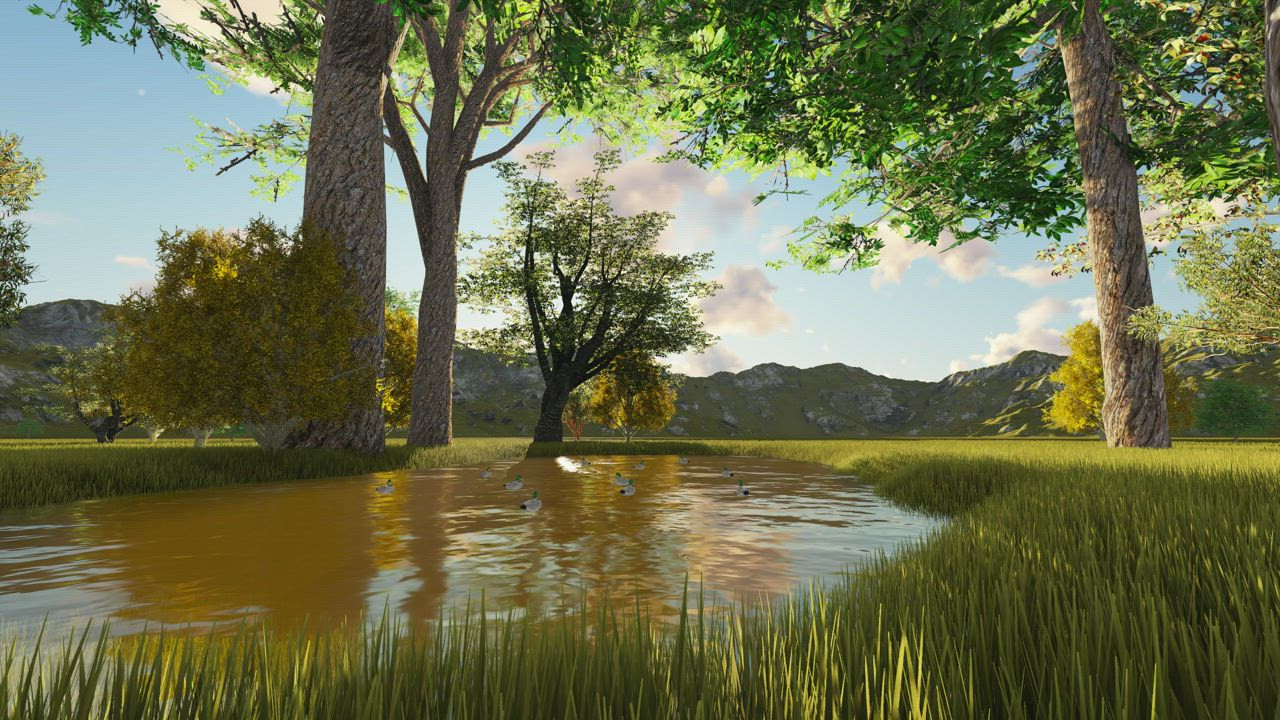 Beautiful lake in a forest in summer, 3D render - Free Stock Video