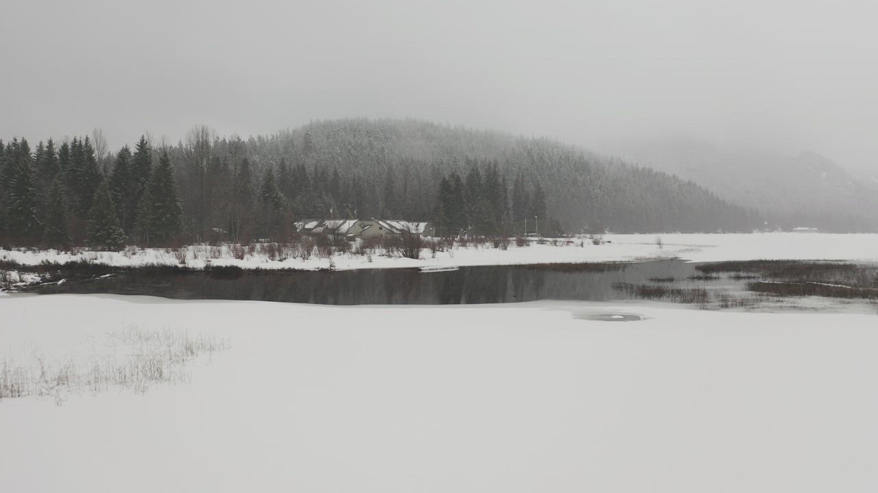 Prairie snow in a pine forest with cabins - Free Stock Video