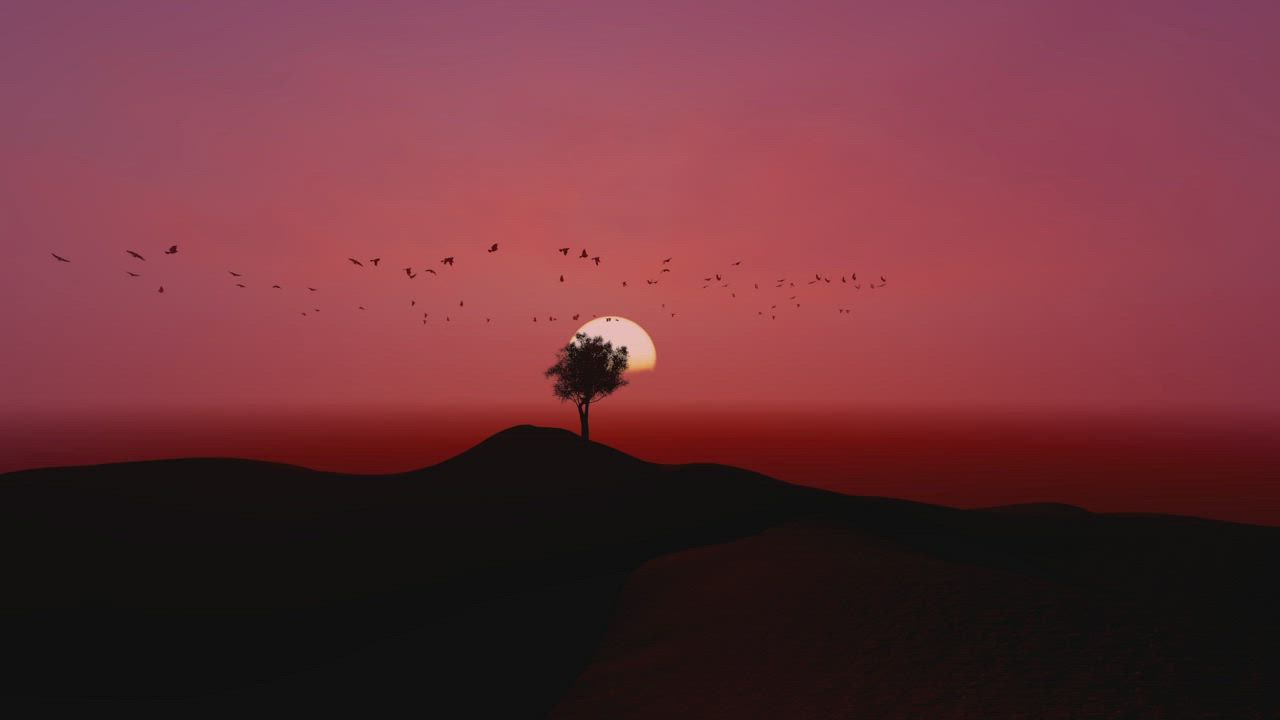 Flock flying around a tree during sunset - Free Stock Video