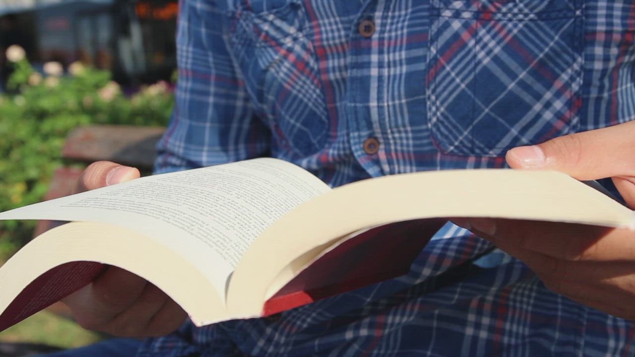 Man reading a book in the sun in a park - Free Stock Video