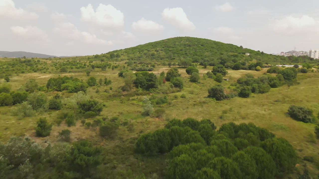 Hill covered with trees and vegetation from above - Free Stock Video