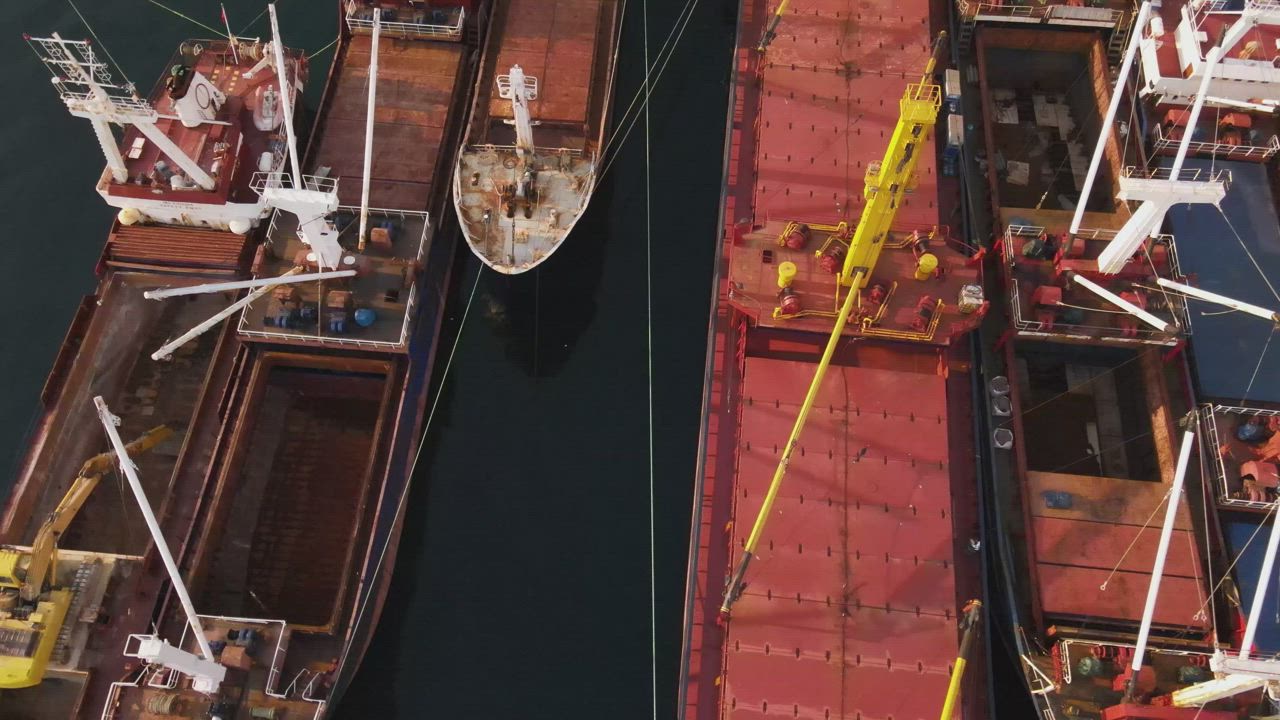 Empty cargo ships lined up on a coast from the air - Free Stock Video