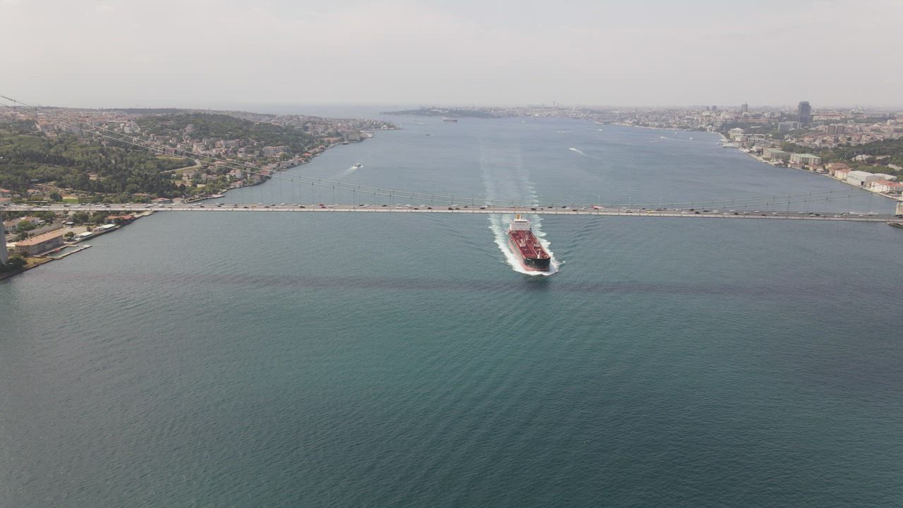 Cargo ship passing under a large bridge - Free Stock Video