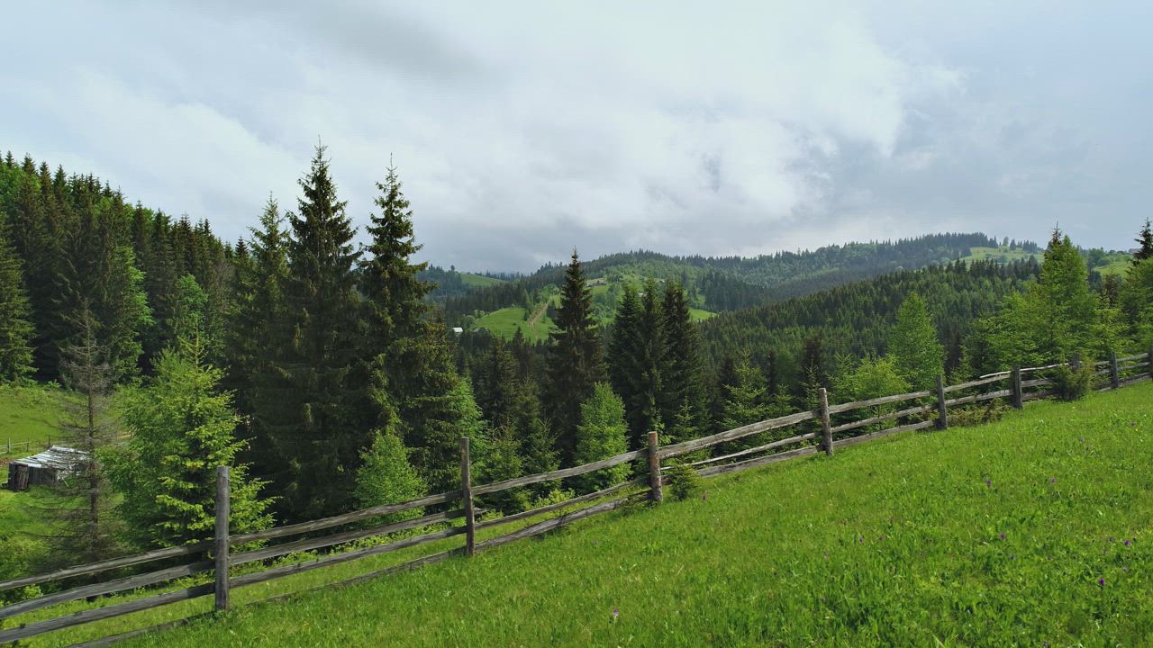 Green forest near a farm - Free Stock Video