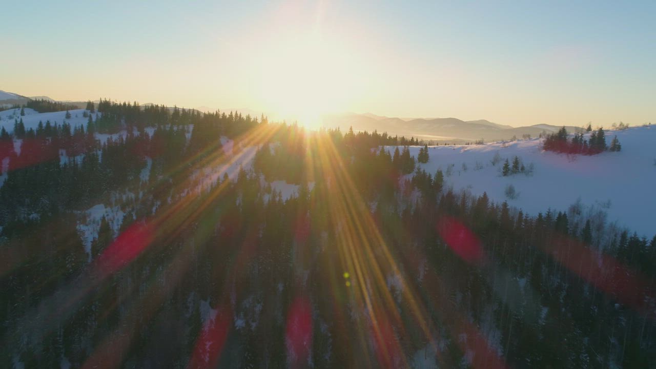 Flying over a forest high up in the mountains - Free Stock Video