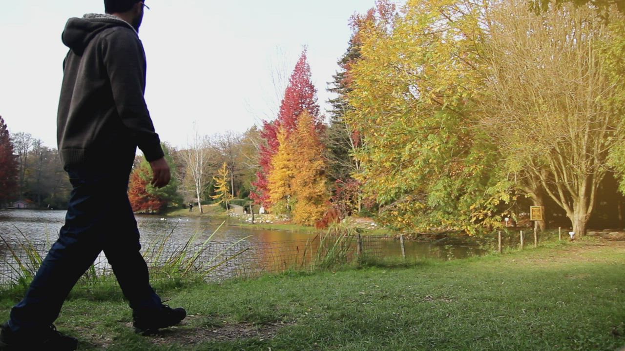 Man walking on a park in autumn - Free Stock Video