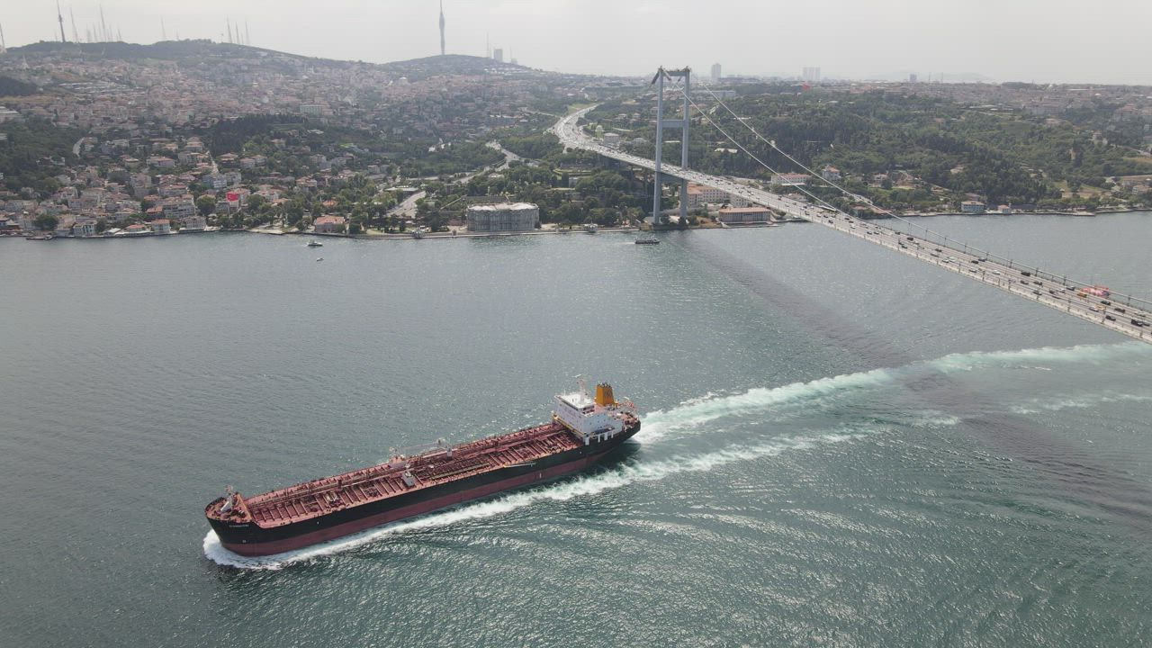 Cargo ship crossing a bridge on a river - Free Stock Video