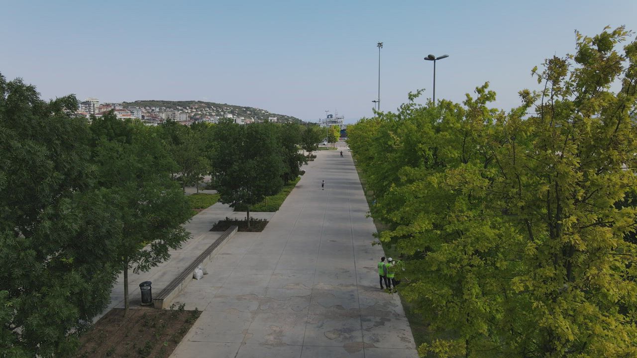 Empty path in a park during a sunny day - Free Stock Video