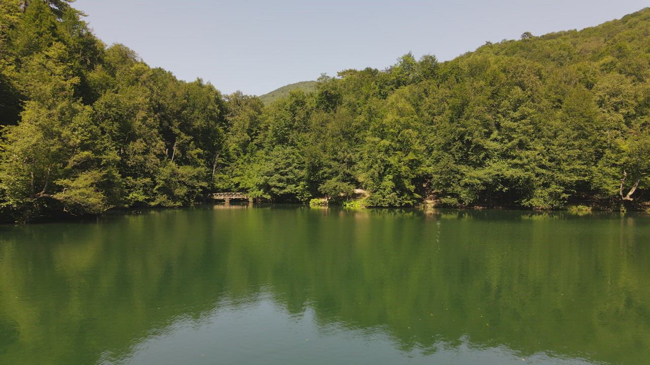 Lake in a wooded park, low aerial shot - Free Stock Video
