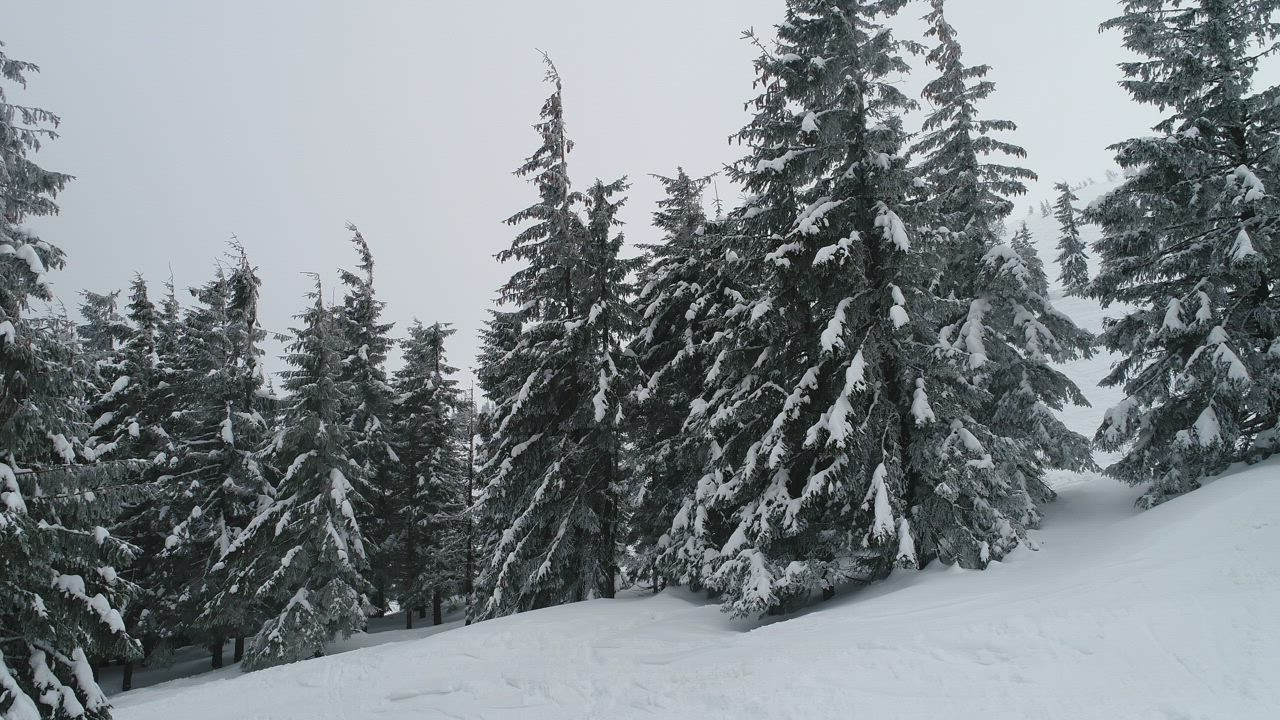 Foggy environment in winter mountains - Free Stock Video