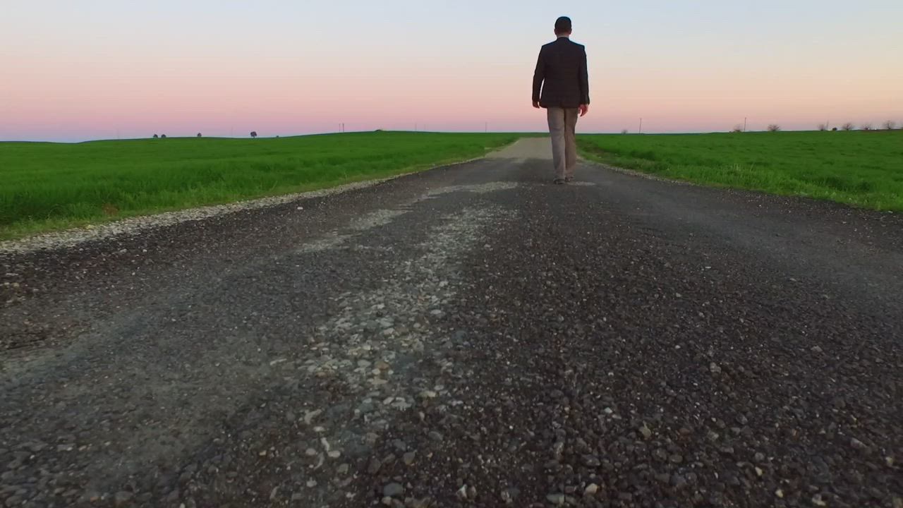 Person walking down a path between large fields - Free Stock Video