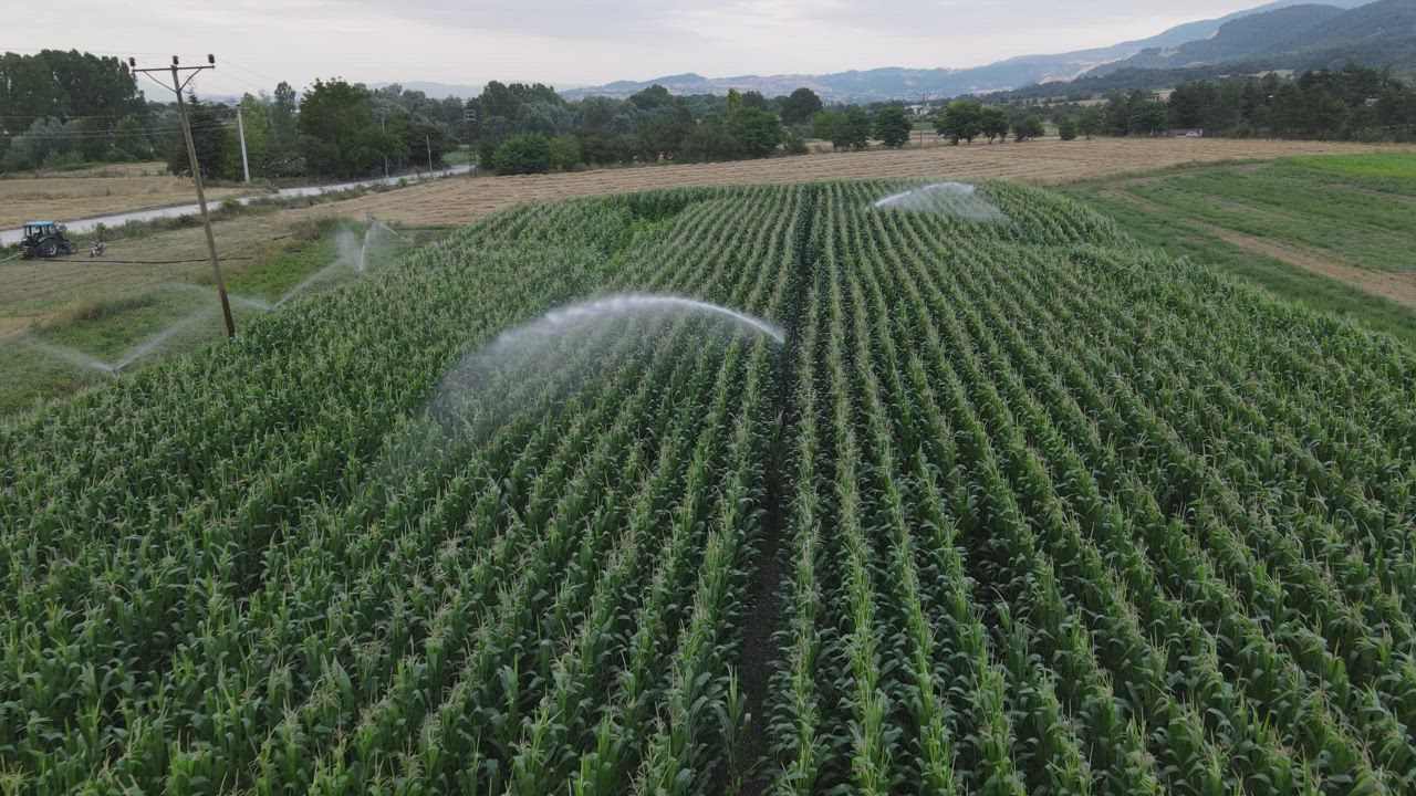 Flying over fields of crops being watered - Free Stock Video