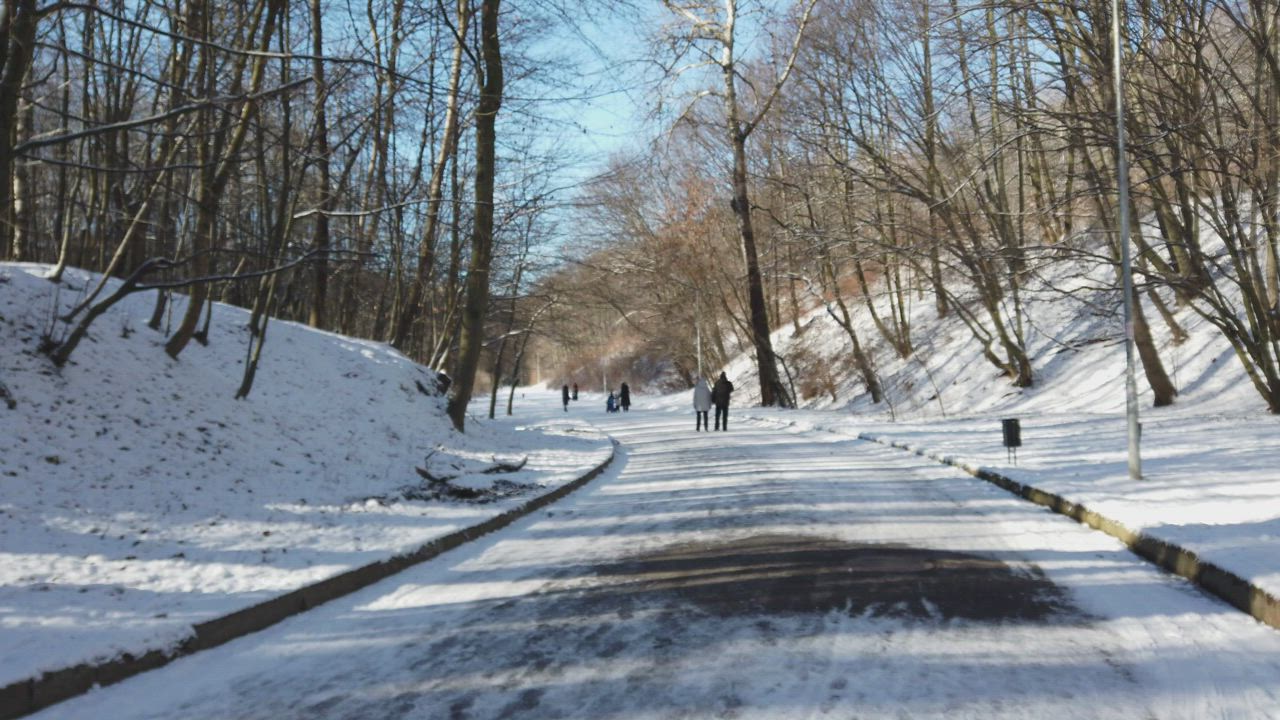 Path through a snowy forest of dry trees - Free Stock Video