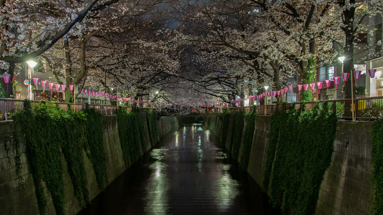 Stream with water in the city at night - Free Stock Video