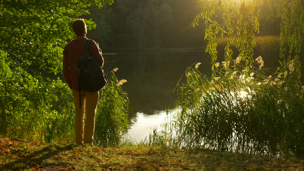 Man watching the sunset on the shore of a lake - Free Stock Video