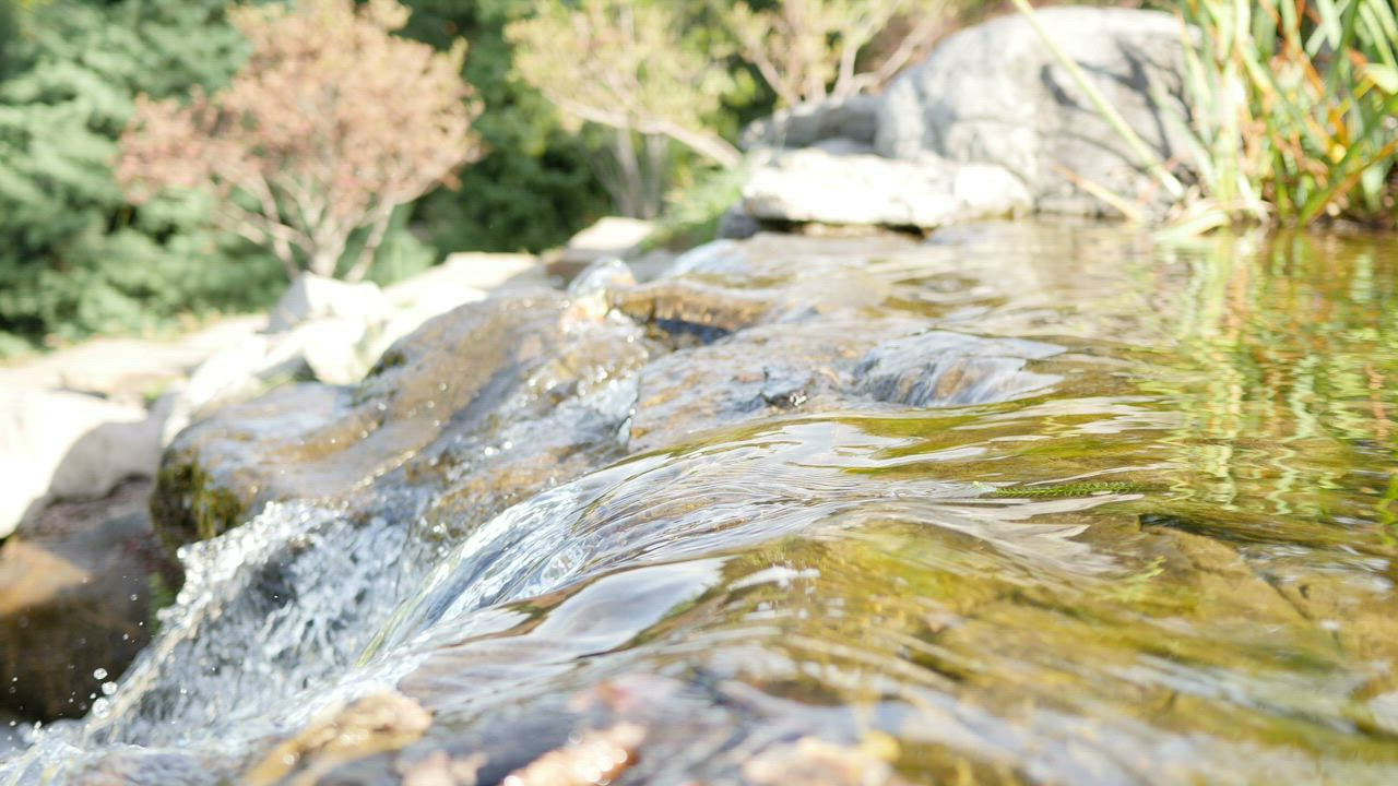 Water flowing down the rocks of a river in nature - Free Stock Video