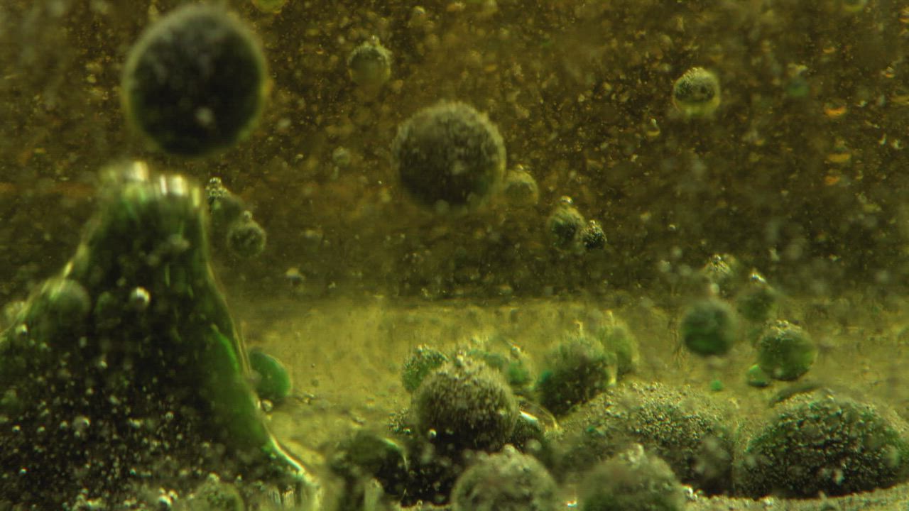 Thick green and bubbly liquid seen in detail - Free Stock Video