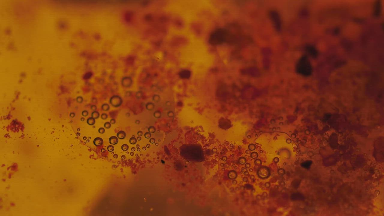 Viruses absorbing cells - Free Stock Video