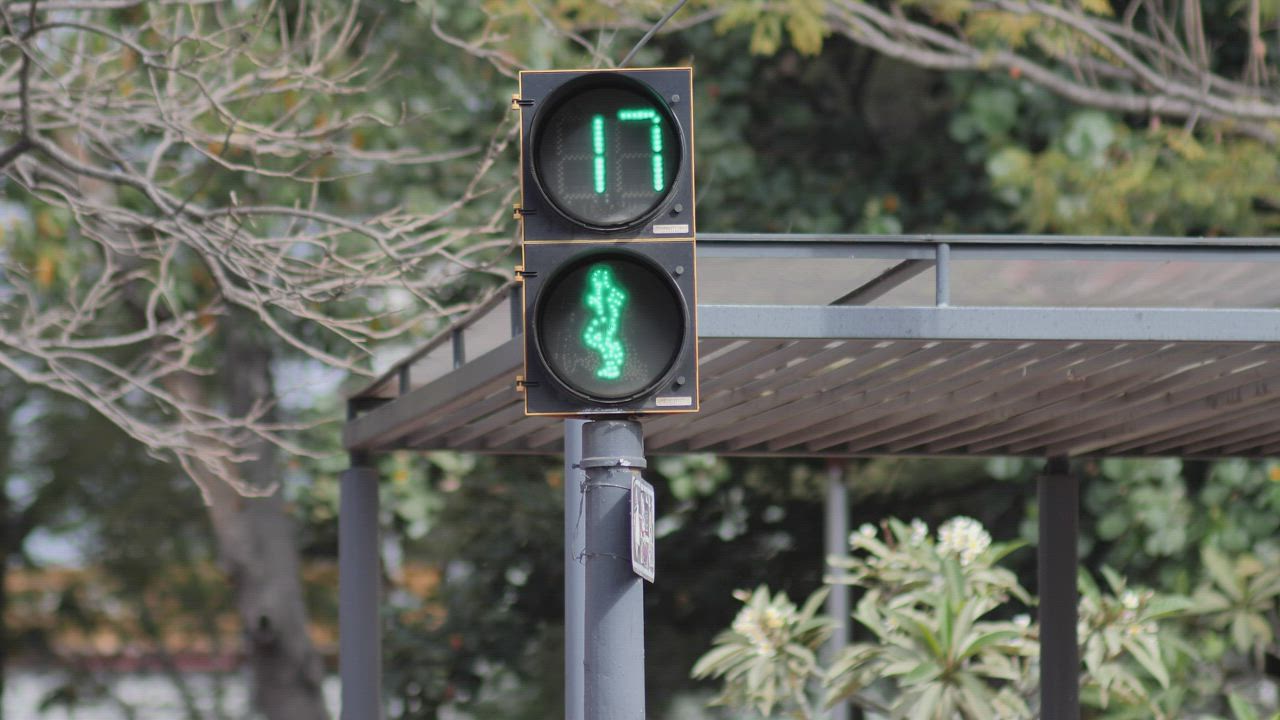 Animated pedestrian traffic light with a reverse timer - Free Stock Video