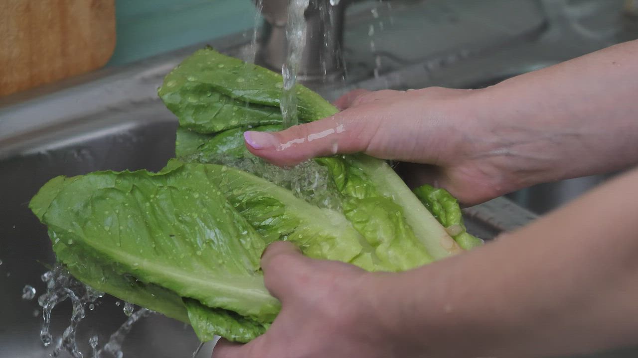 Washing a lettuce in the kitchen - Free Stock Video