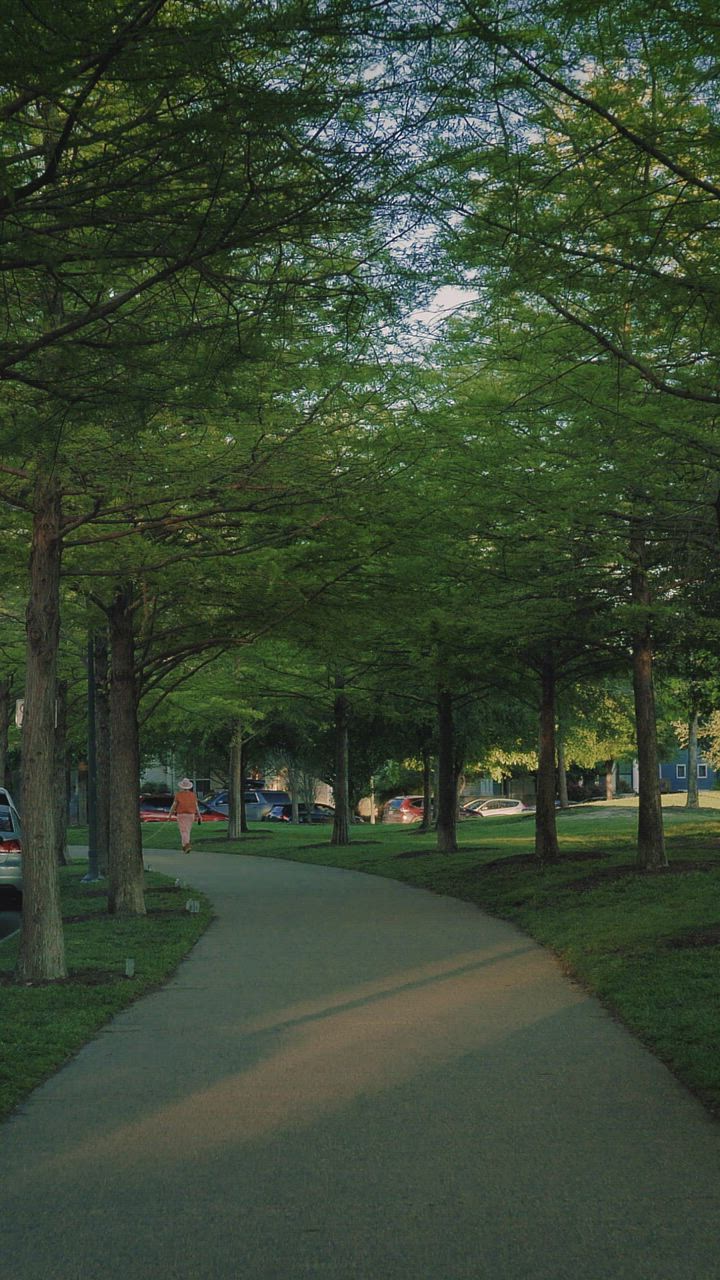 Slowly walking down a path in a park - Free Stock Video