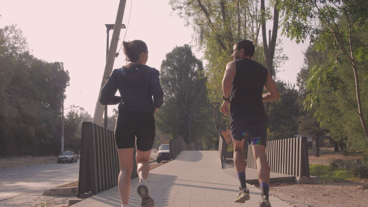 Man and woman jogging through a park in the city - Free Stock Video