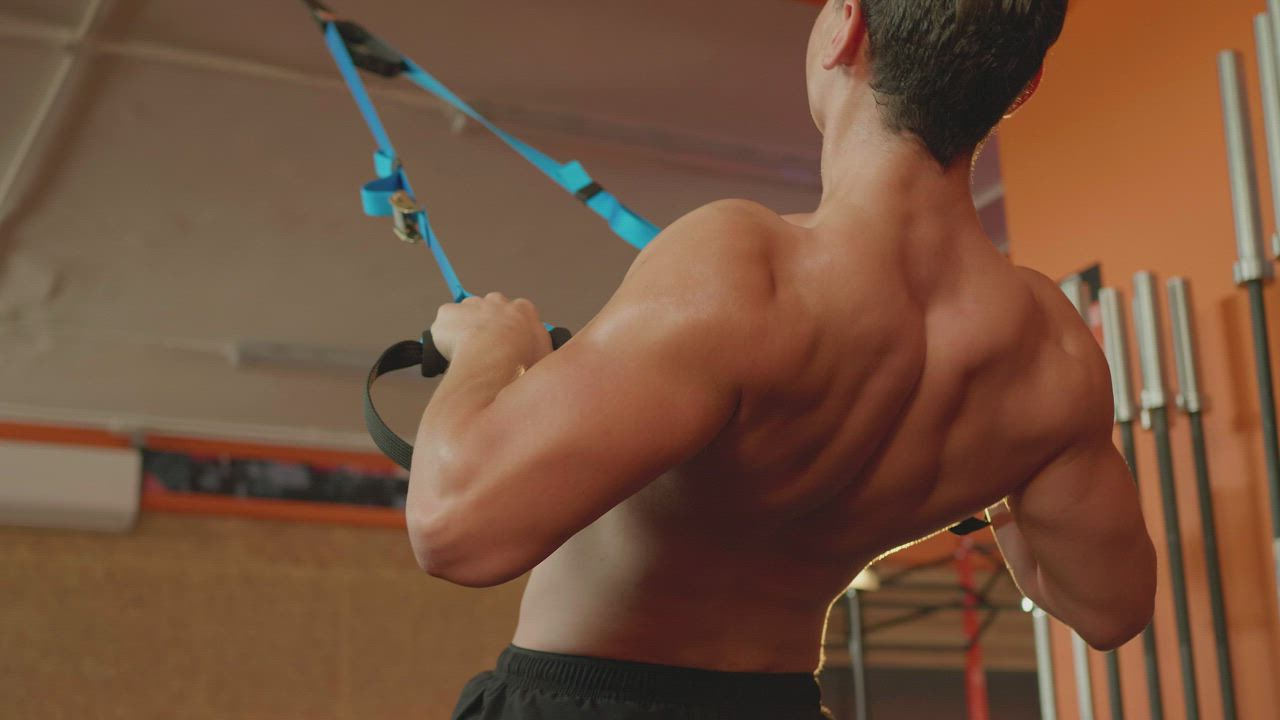 Man working out with straps in a gym - Free Stock Video