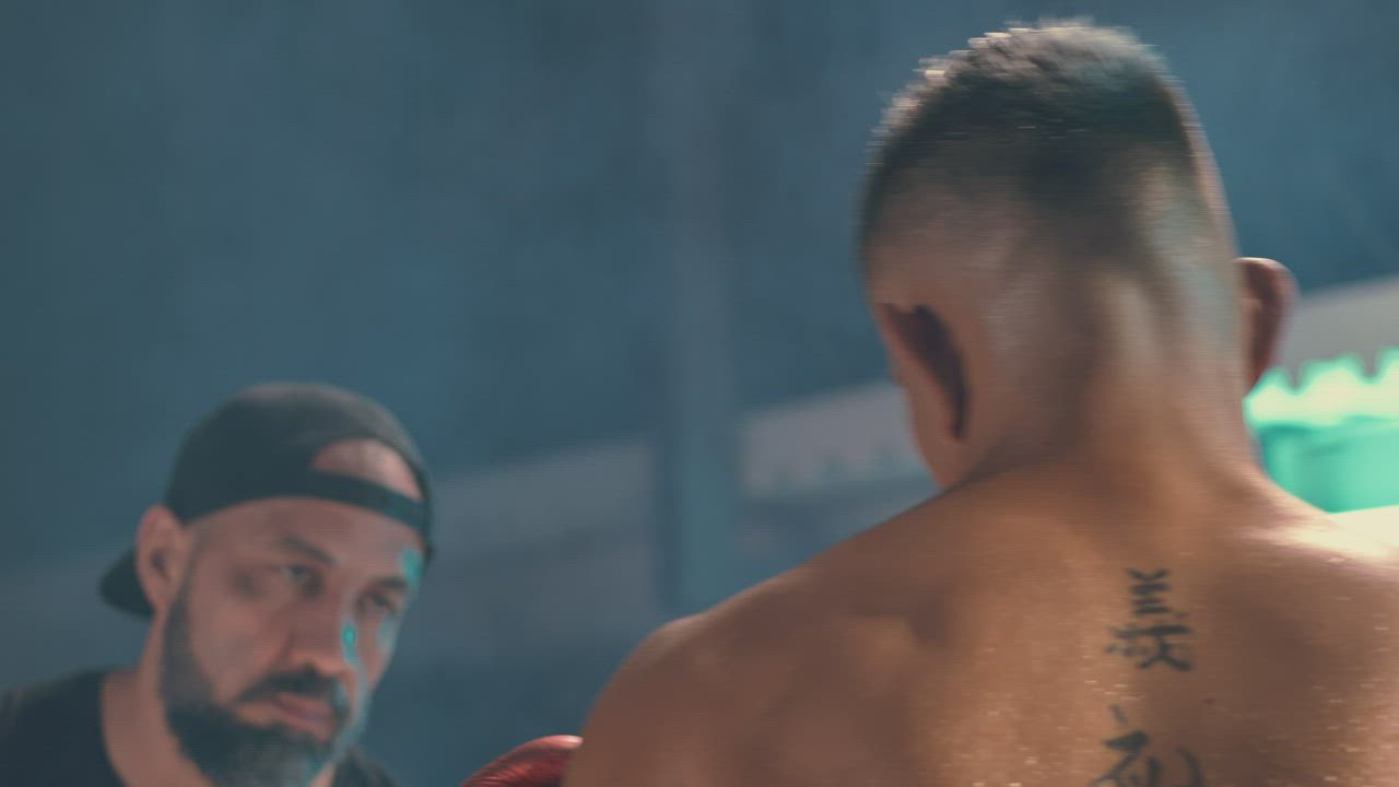 Back view of a boxer training - Free Stock Video