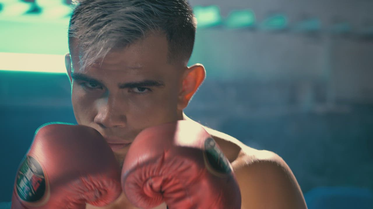 Portrait of a boxer training - Free Stock Video