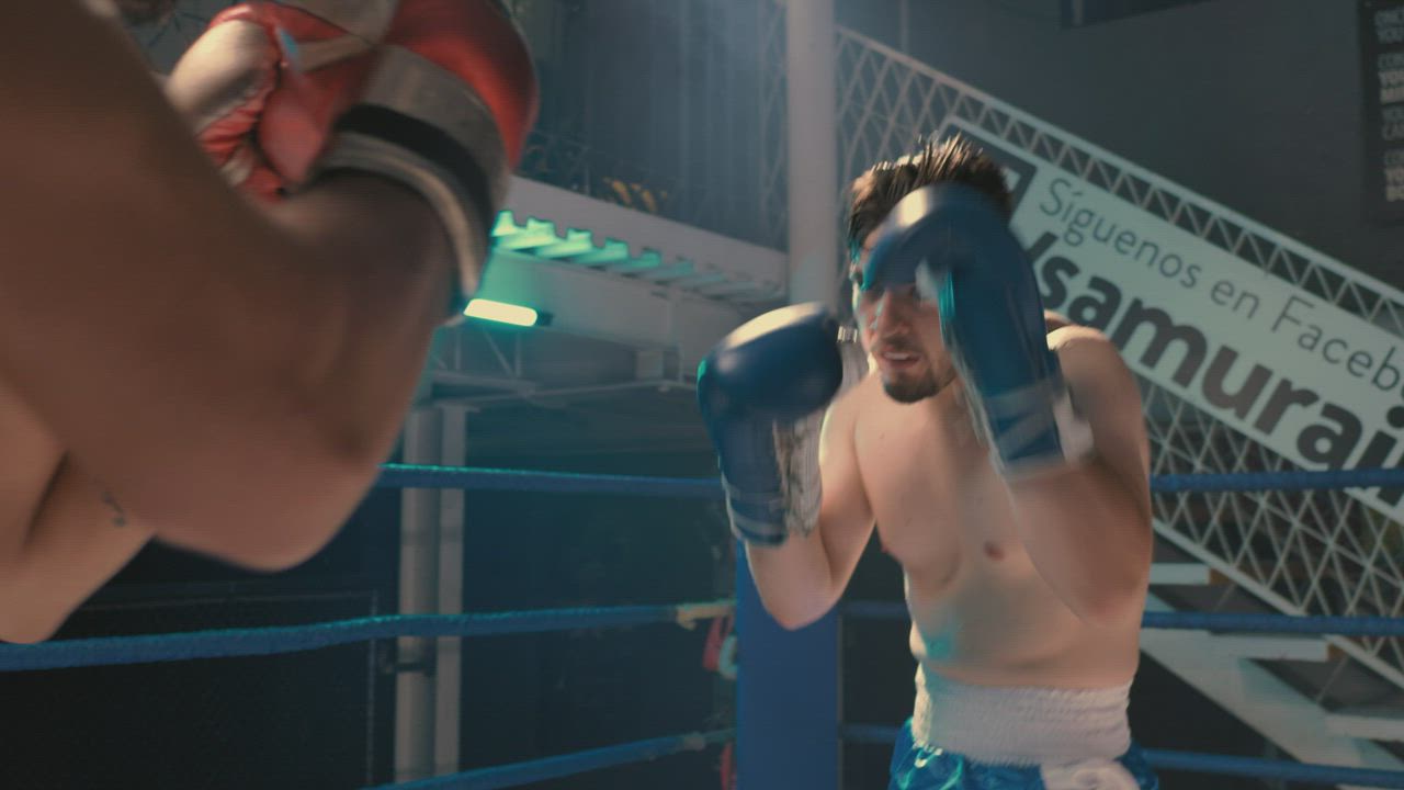 Intense semi-pro boxing match - Free Stock Video