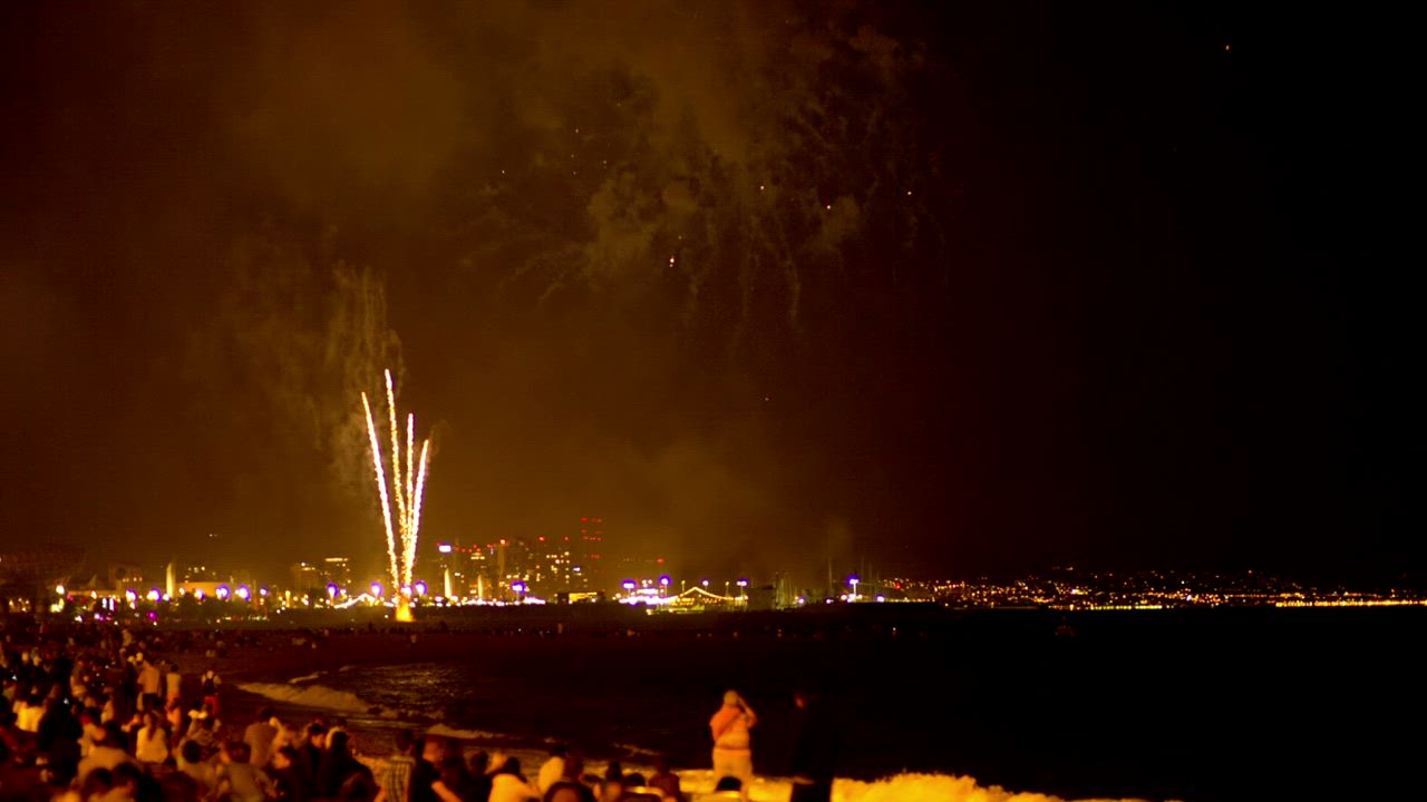 Fireworks in the beach - Free Stock Video